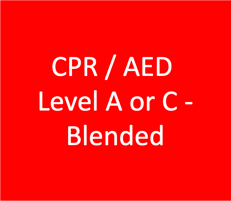 CPR/AED Level A or C - Blended – Life Preservers First Aid Inc.